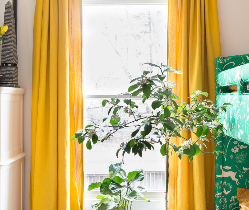 NYNR Reveal (1 of 1)-6 ⋆ Jewel Marlowe